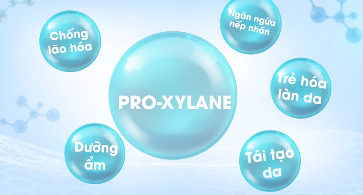 Pro - Xylane và công dụng trong các sản phẩm chăm sóc da cơ thể | ELLE