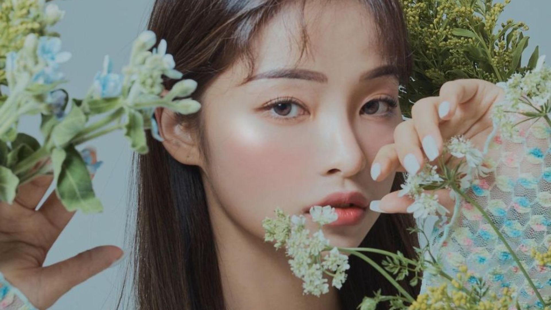 5 công thức làm đẹp bằng nha đam tươi hiệu quả tại nhà | ELLE