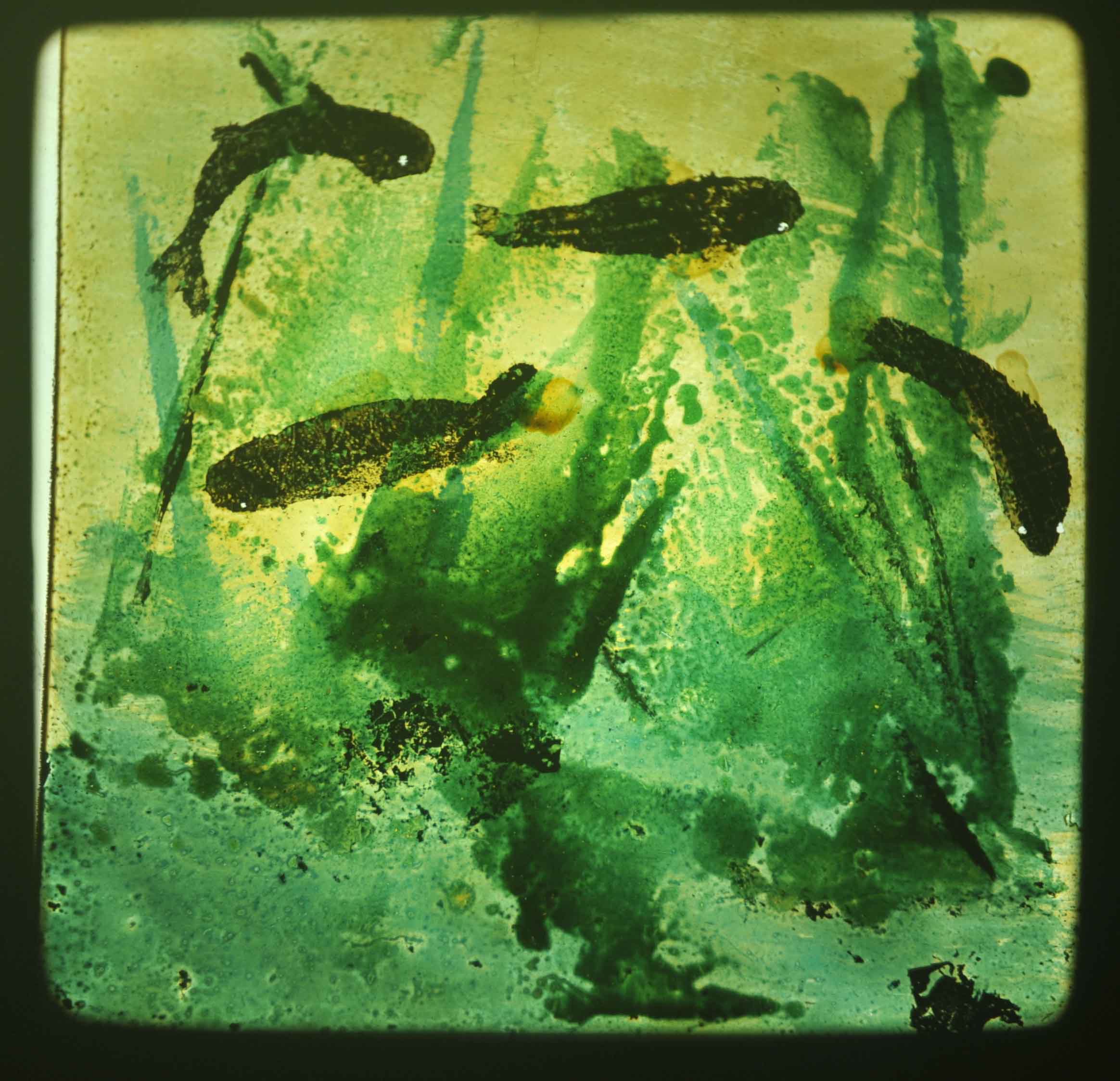 oanh phi phi va son mai 6 | ELLE