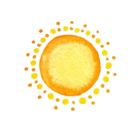 trac nghiem hinh anh mat troi 2 | ELLE