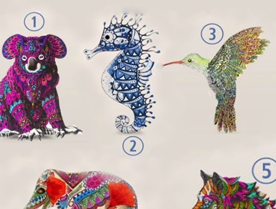 trac nghiem hinh anh con vat | ELLE