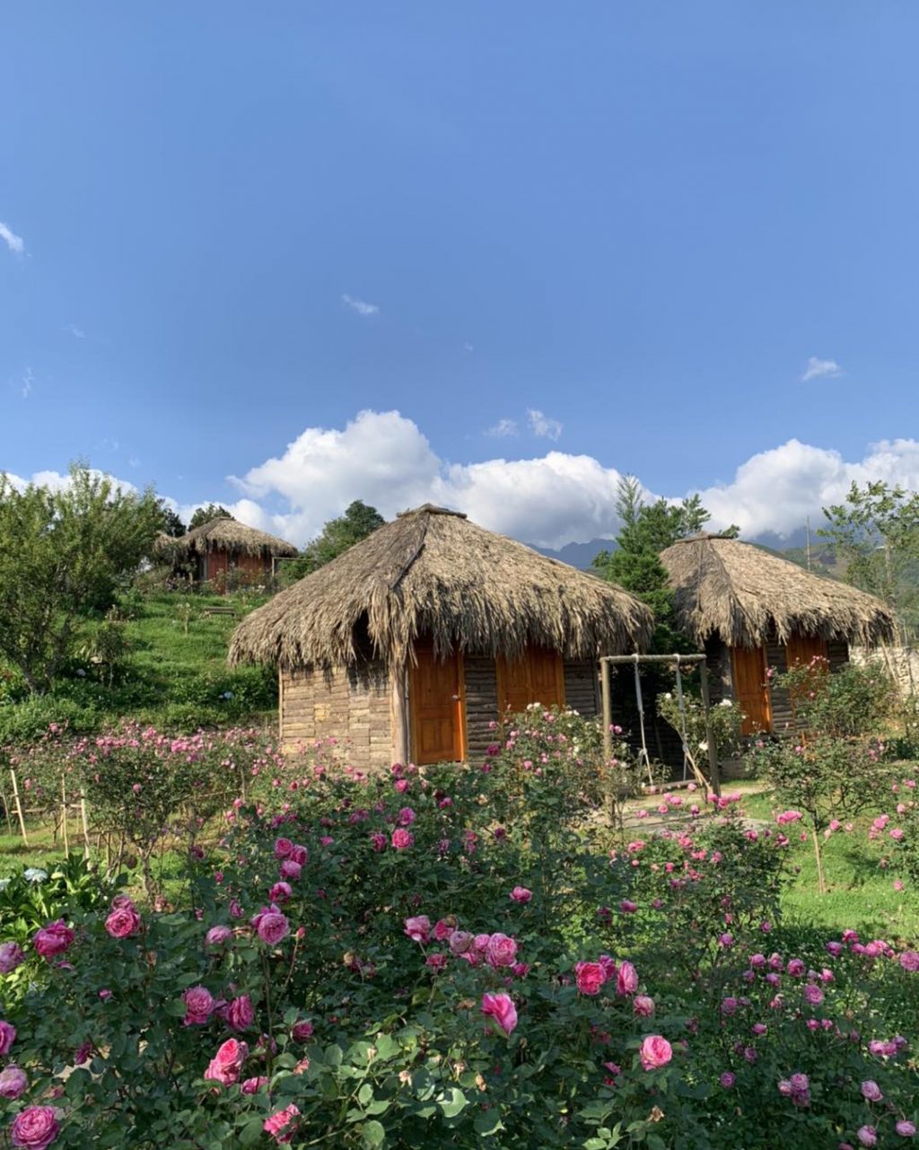 homestay sapa rose farmstay 2 | ELLE