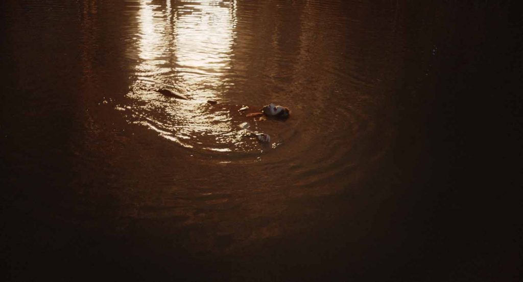 tro tan ruc ro bao ngoc doling | ELLE