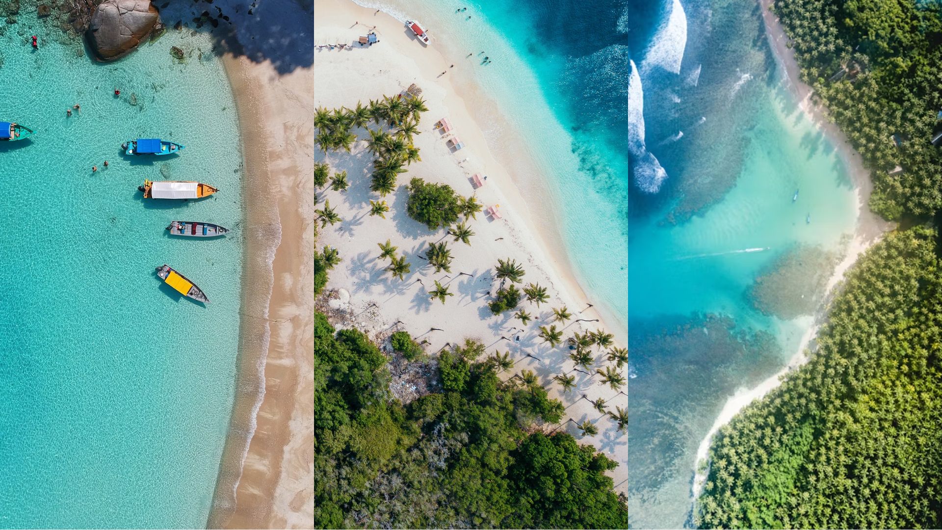 bai bien dep nhat | ELLE